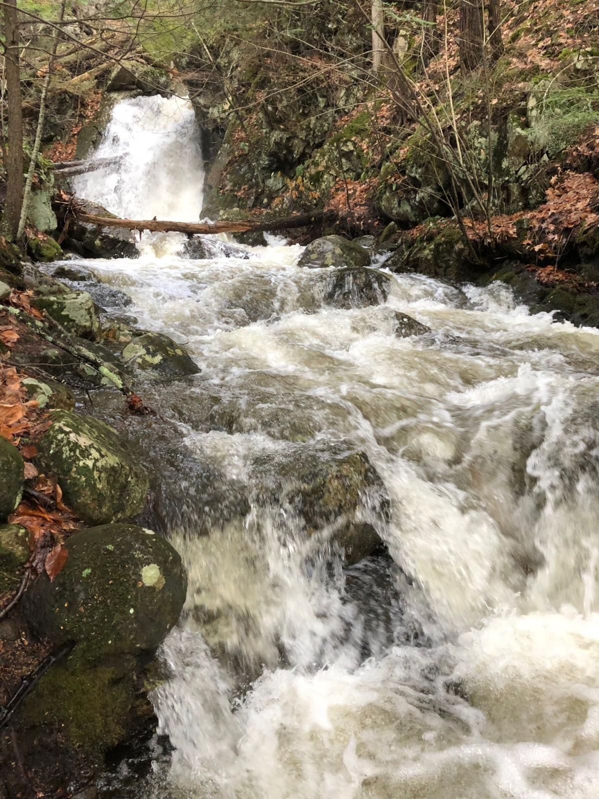 Blog: New Huletts Landing preserve has potential | Adirondack Outdoors ...