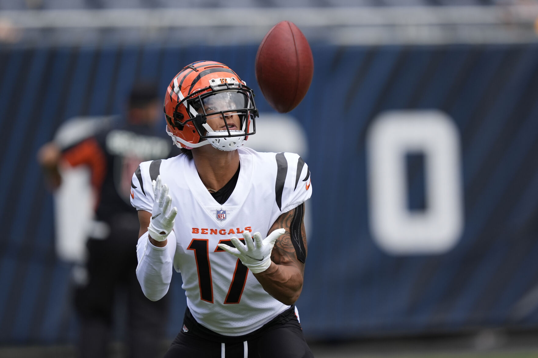 NFL Bengals: Greenwich native wins spot, has future plan