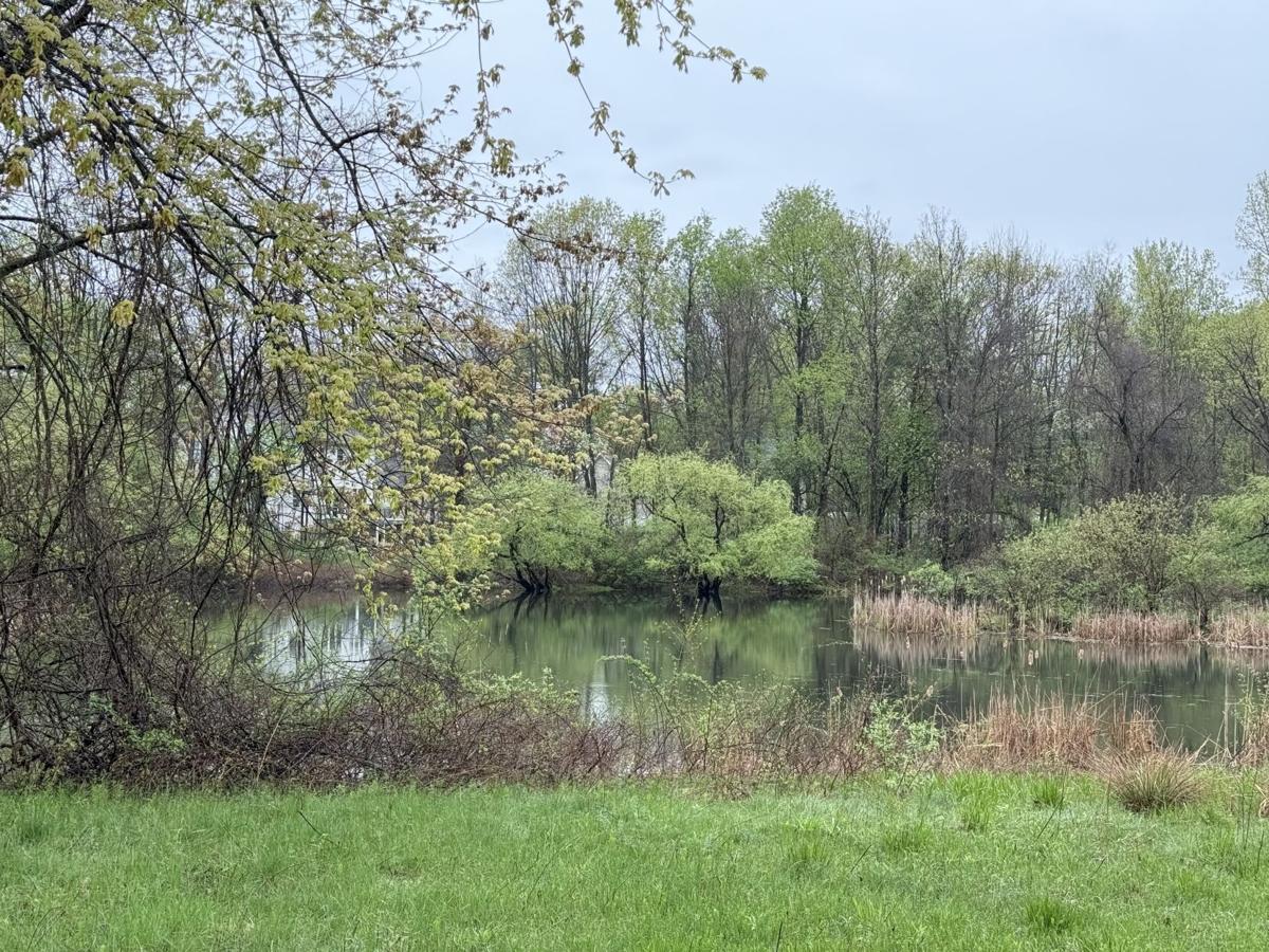 SUNY Adirondack to sell Crockwell Pond in Glens Falls