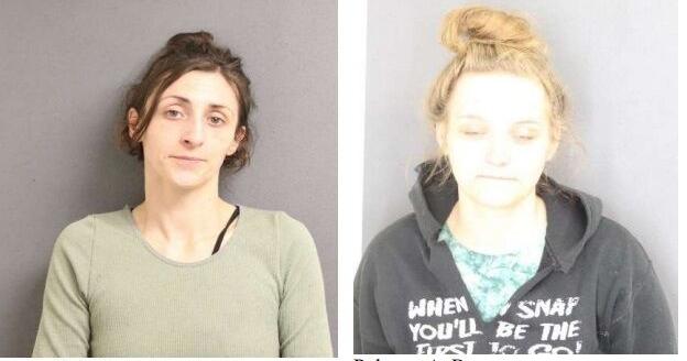 Washington County women arrested in alleged firearms theft