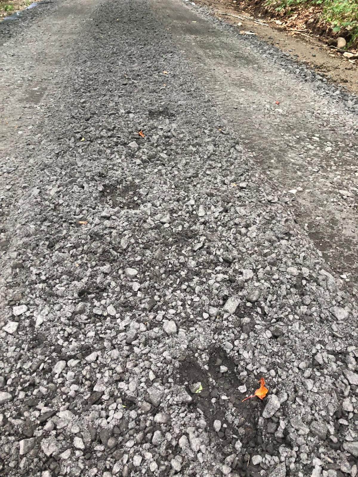 BLOG: Tracking a moose | Adirondack Outdoors | poststar.com