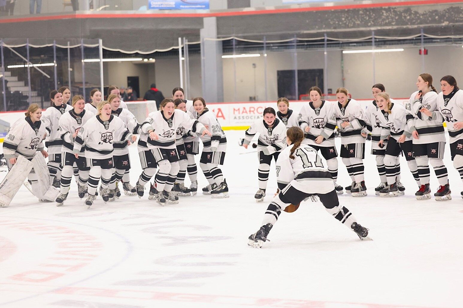 Previewing the season for 3 area high school hockey teams