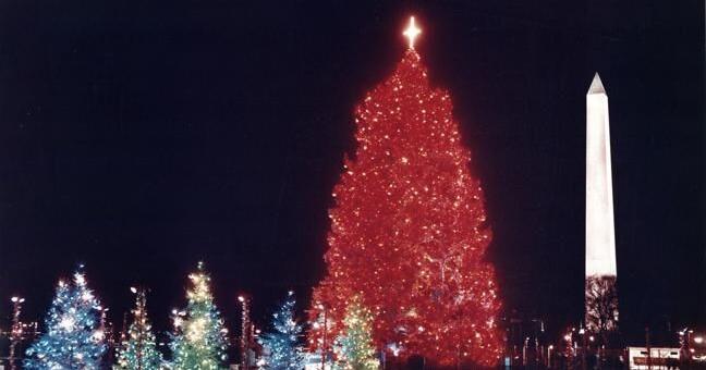 Over decades, area Christmas trees have made the spotlight