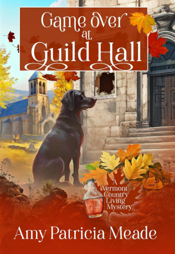 Game Over at Guild Hall, by Amy Patricia Meade