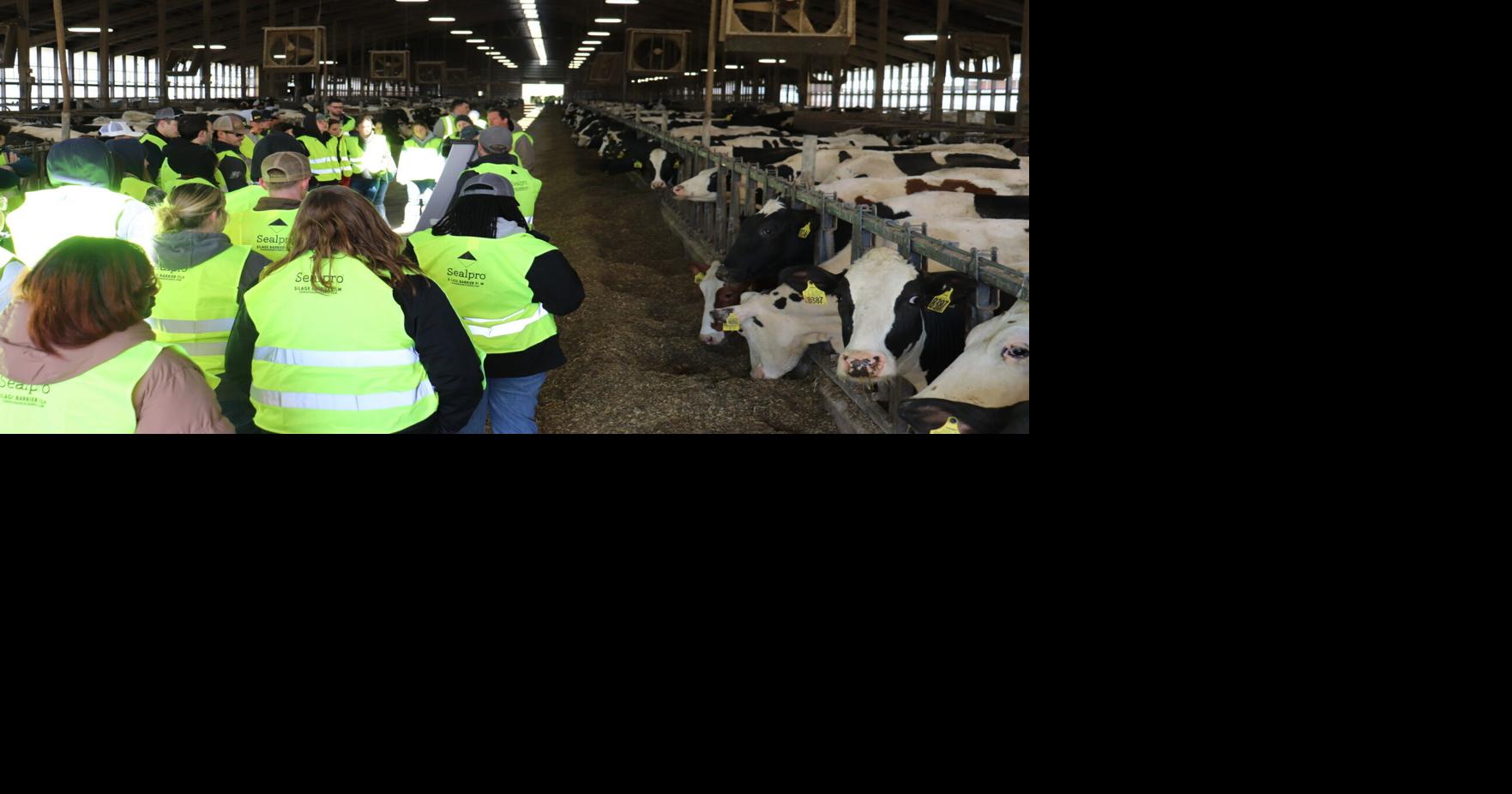 Nearly 300 students prep for Dairy Challenge at Welcome Stock Farm in ...