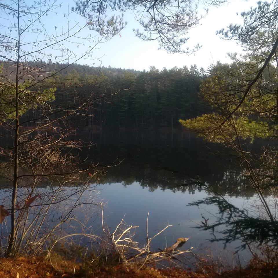 Pack Forest Trails, Warrensburg