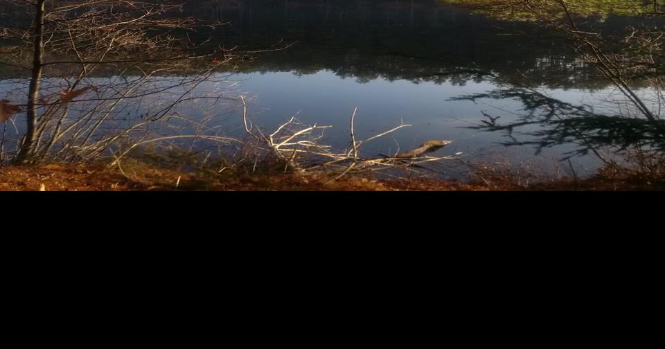 Pack Forest Trails, Warrensburg