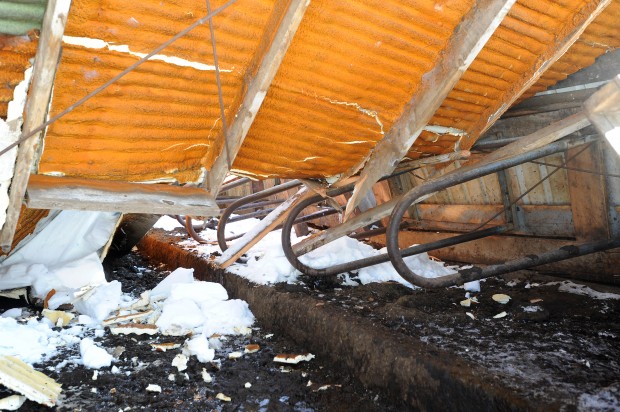 Weight of snow, ice collapses multiple barns