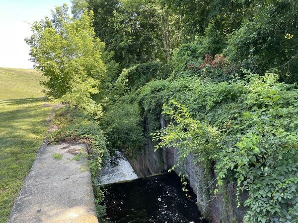 Feeder Canal Alliance and State Canal Corp In talks