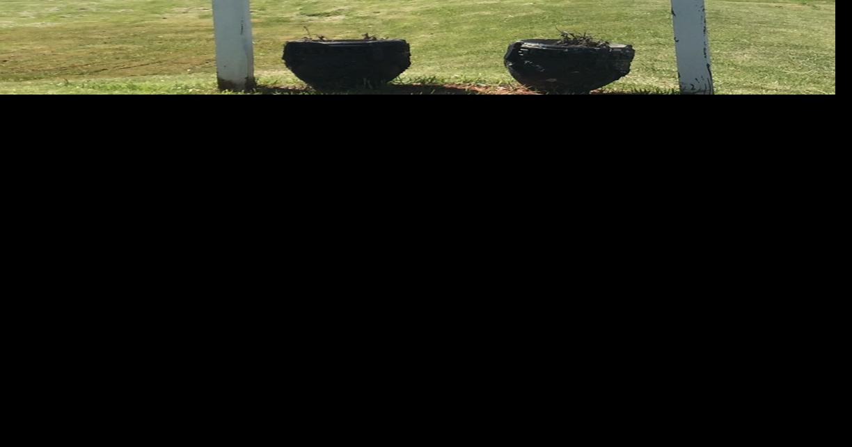 Demands for a multi-county animal shelter grow