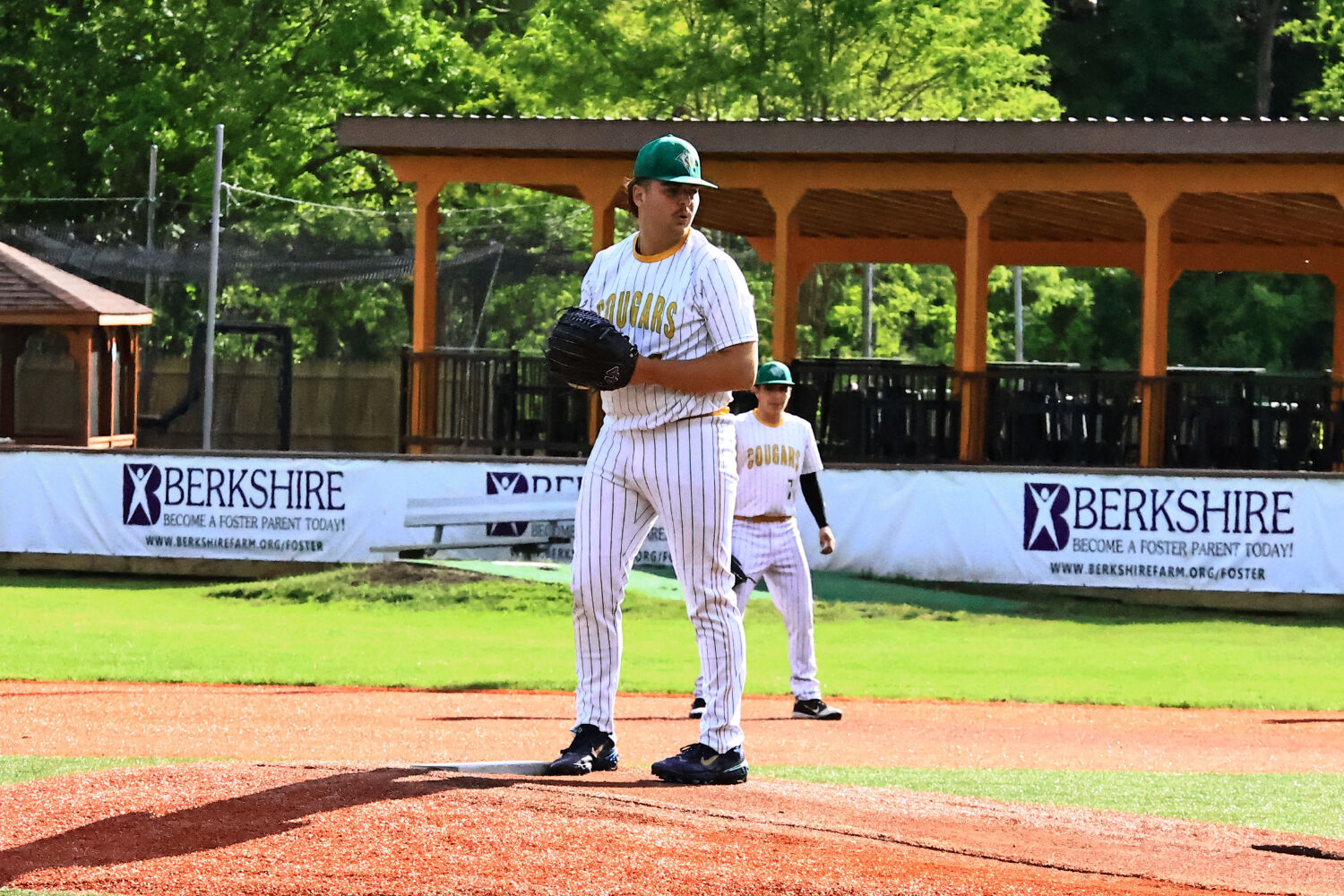 North Warren baseball heads to Binghamton for Class D state final four