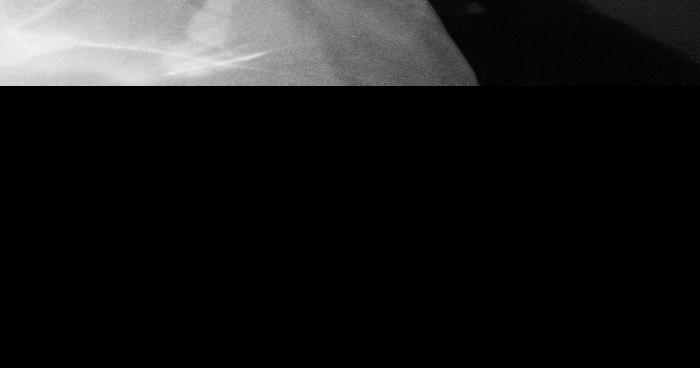 Layton-50th Anniversary