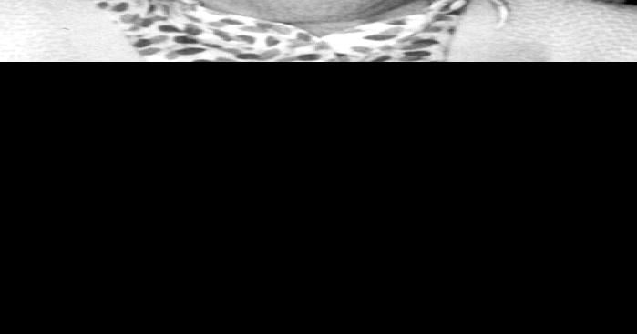 Elizabeth 'Betty' (Rice) Sylvester