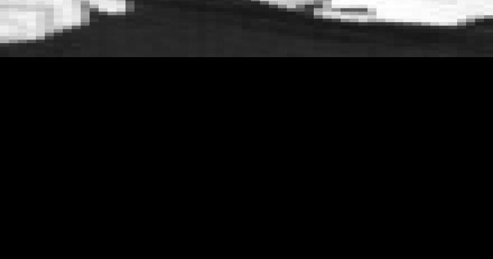 Robert S. “Swiggy” Rosenzweig