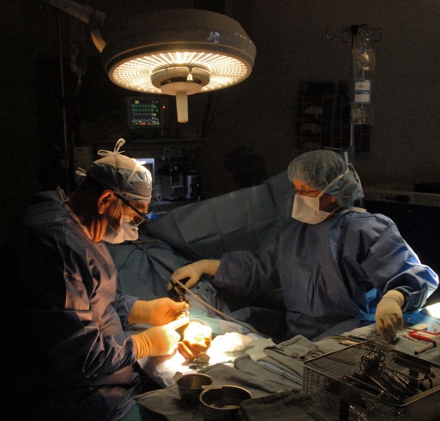 Helping hands | Local | poststar.com