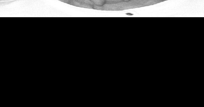 Helen J. (Rayno) Trombley