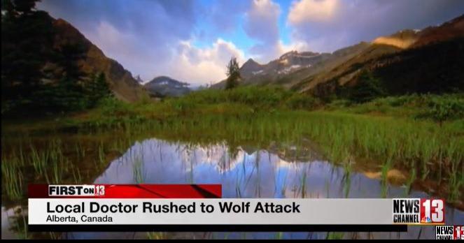 Local doctor aids man attacked by wolf out west