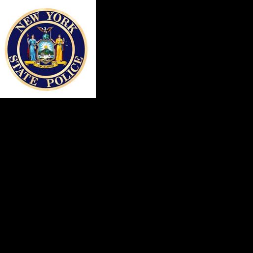 Police: Fort Edward man pinned down victim during domestic incident