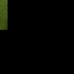 SUNY Adirondack trustees approve $5.7 million turf field