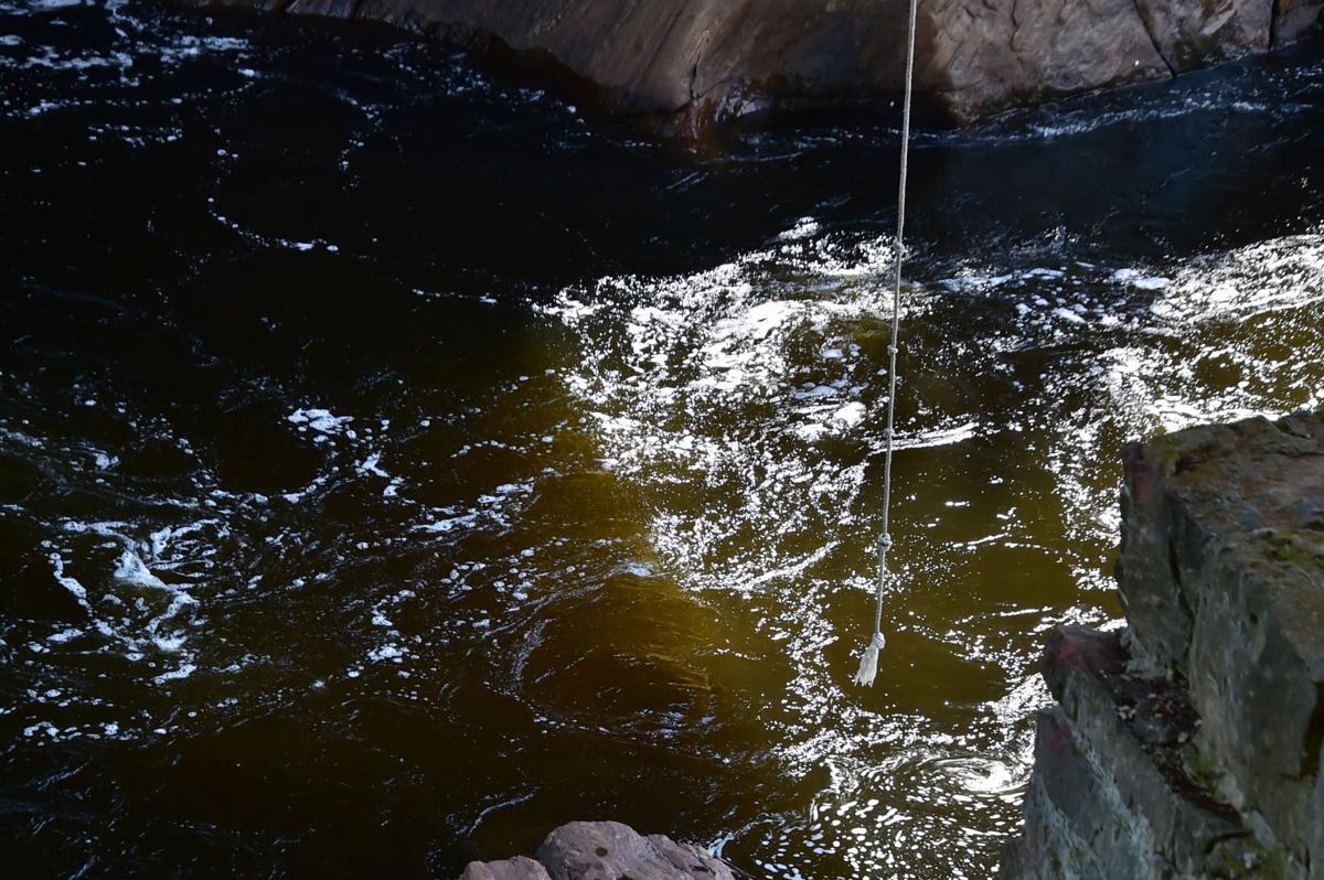 Seven people ticketed after police respond to trespassing complaint at ...