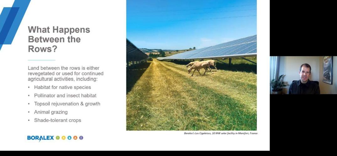 Boralex solar energy farm eyes 2024 groundbreaking in Fort Edward