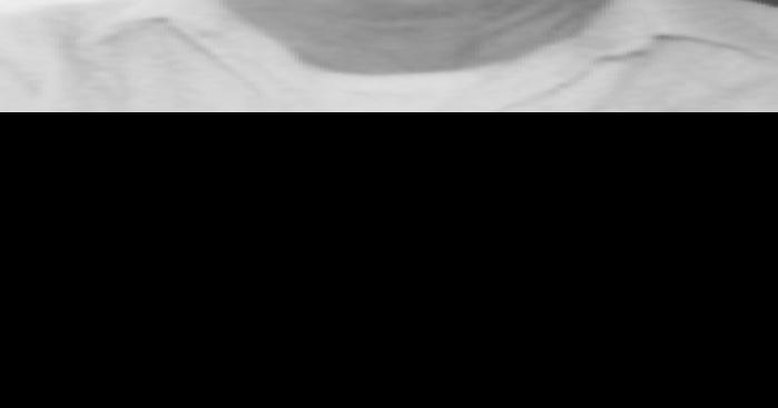 Gilbert “Gib” H. Shaw