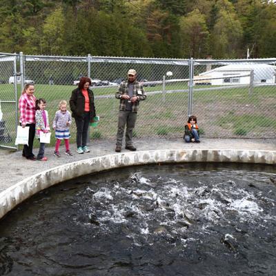 Warren Co. fish hatchery, ADK nonprofits to receive funds