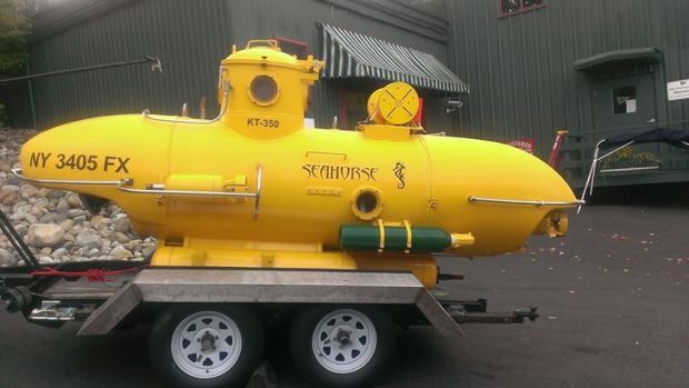 Diving into the past