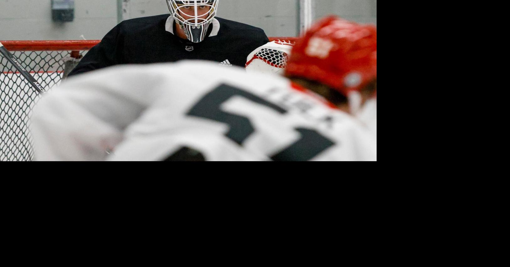 Hudson Falls native Connor Murphy starting strong in ECHL