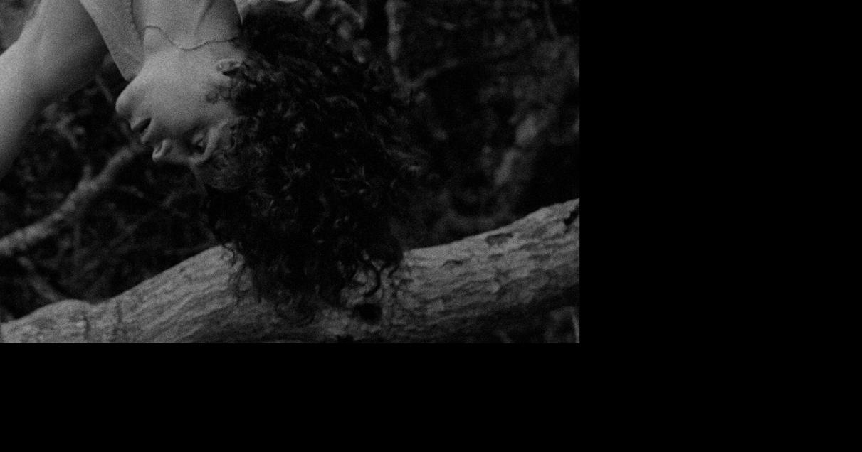 Tang Announces "a field of bloom and hum" on film