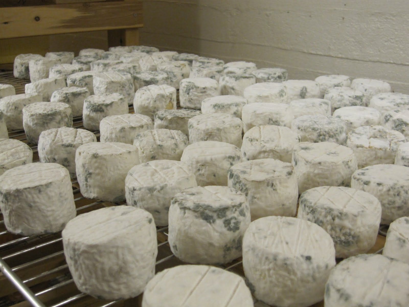10 reasons not to miss: The Cheese Tour