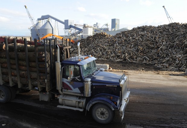 Finch Paper explores $20M upgrade to woodyard | Business | poststar.com