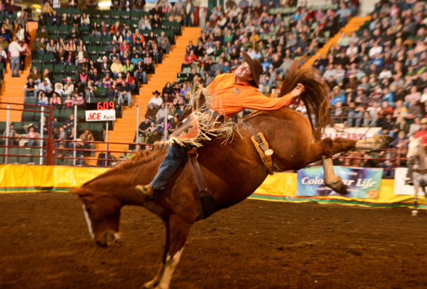 For some rodeo is a way of life