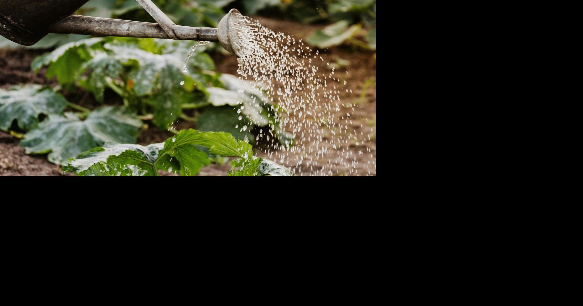 Water conservation tips from the NYSDEC
