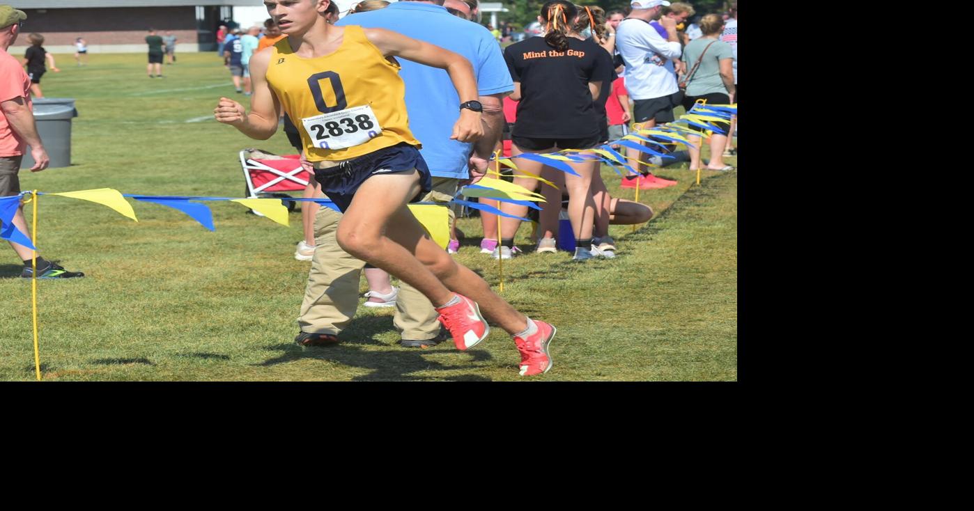 Queensbury's Davidson ready for state cross country meet