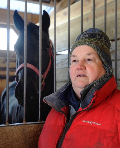 Rolling Oaks Stable