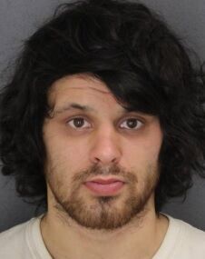 Stealing pot plants leads to prison time