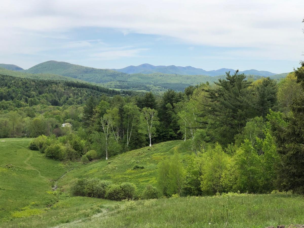Blog: Muddy, buggy hiking | Adirondack Outdoors | poststar.com