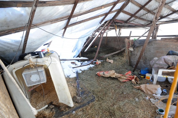 Weight of snow, ice collapses multiple barns