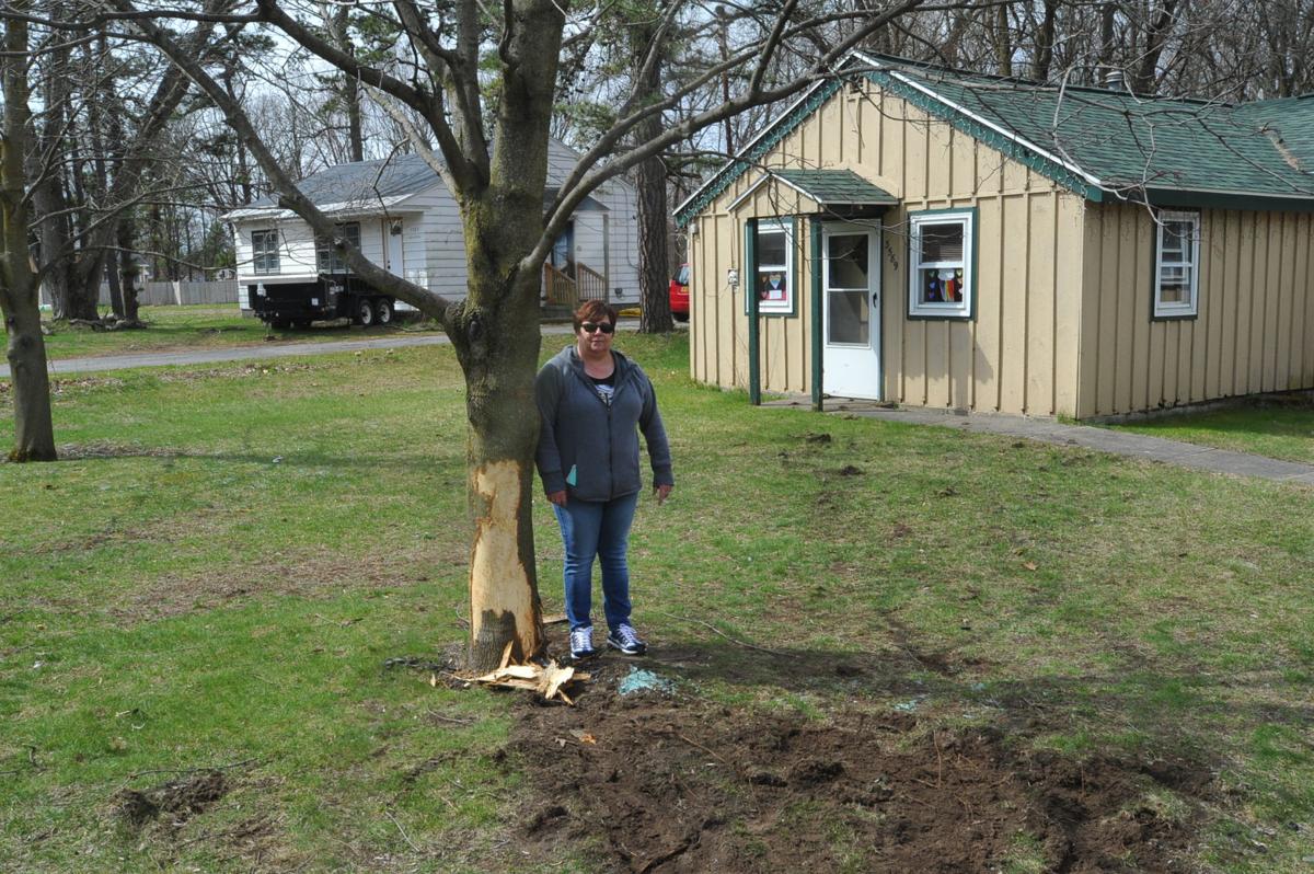 Car strikes tree on front lawn of house in Kingsbury | Local | poststar.com