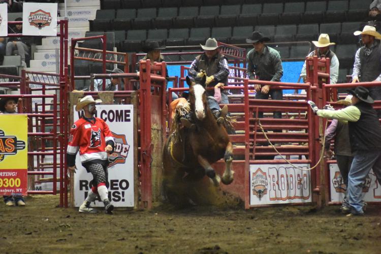 WEEKEND PLUS: Rodeo action returns to Cool Insuring Arena