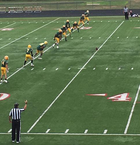 Greenjackets win shortened game