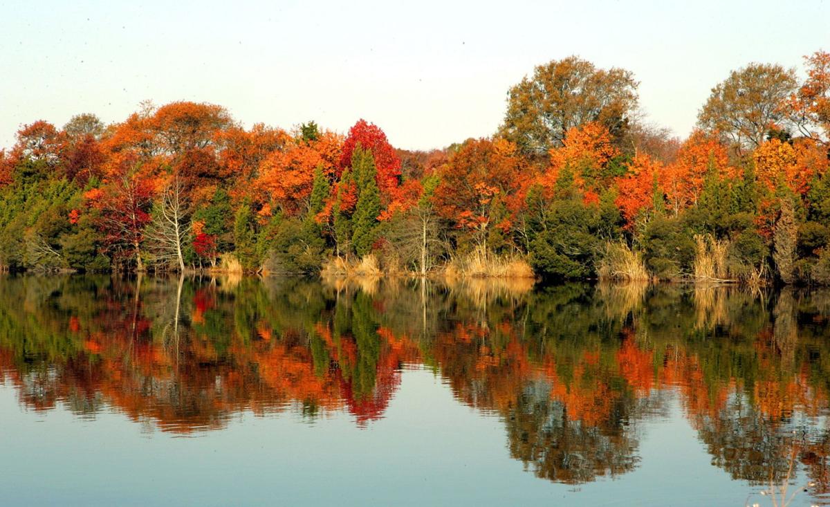New Jersey Fall Foliage Facebook Cover Pic New Jersey's Top Leaf