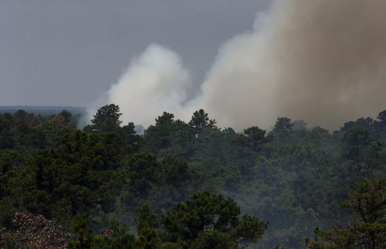 New Jersey Forest Fire Service extinguishes woods fire in Egg Harbor ...
