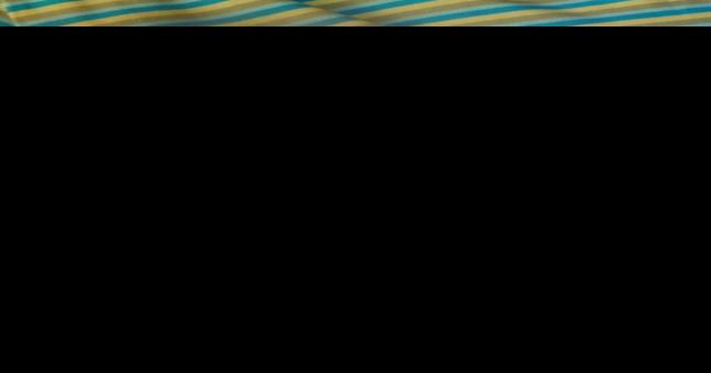 Feinstein, Lida Ann (nee Levin)