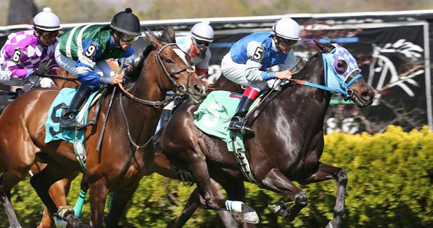 Look back at live racing in 2014 at Atlantic City Race Course
