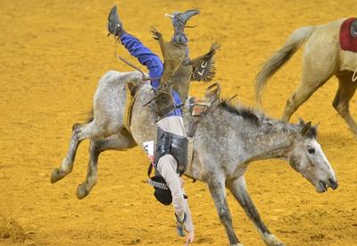 Boardwalk Rodeo -- Saturday