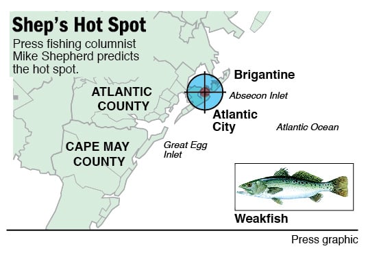 Shep on Fishing: Strong catches of weakfish found in first week of ...