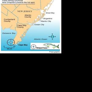 Shep On Fishing: Delaware Bay popular weekend spot for anglers ... and fish