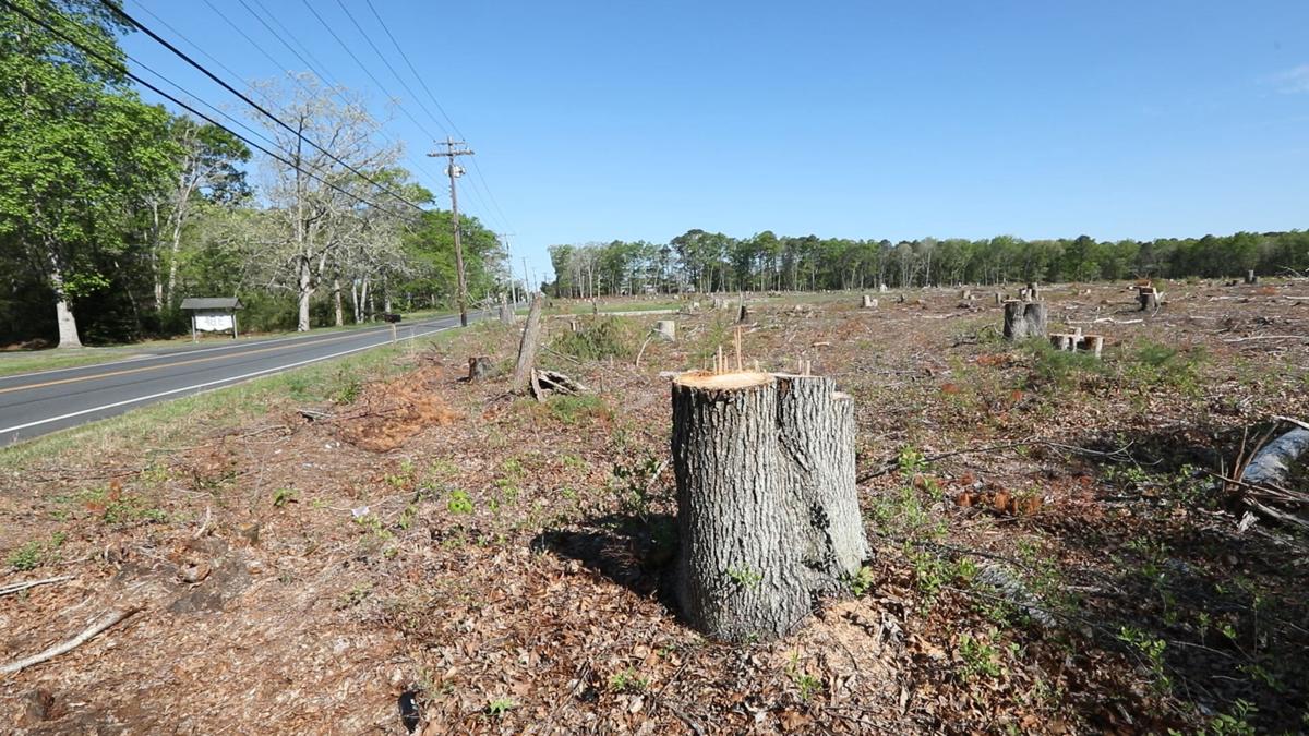 Galloway waiting for new supermarket to begin construction